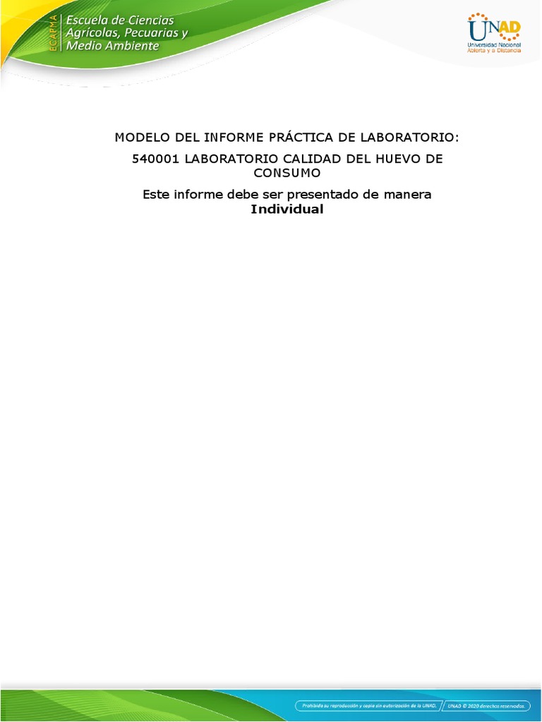 Anexo 4 - Modelo Del Informe de La Práctica de Laboratorio - 540001 ...