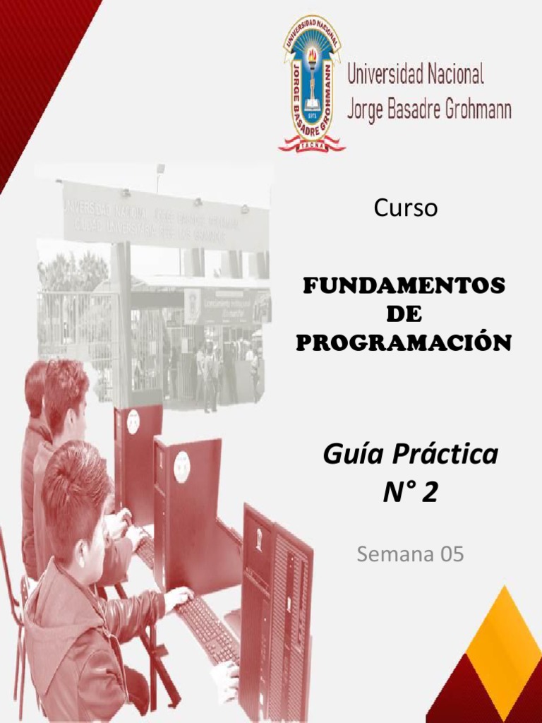 PROGRAMACIÓN Practica 02 Semana05 | PDF | Notación | Algoritmos y ...
