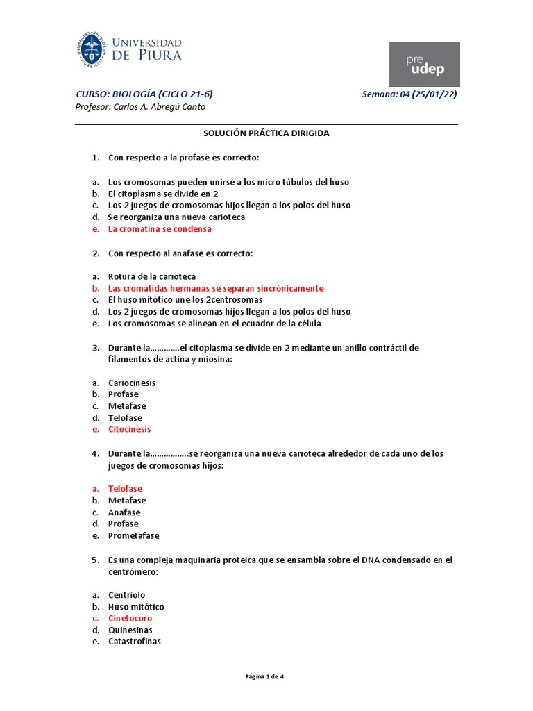 Solución Clase 04 - UDEP | PDF