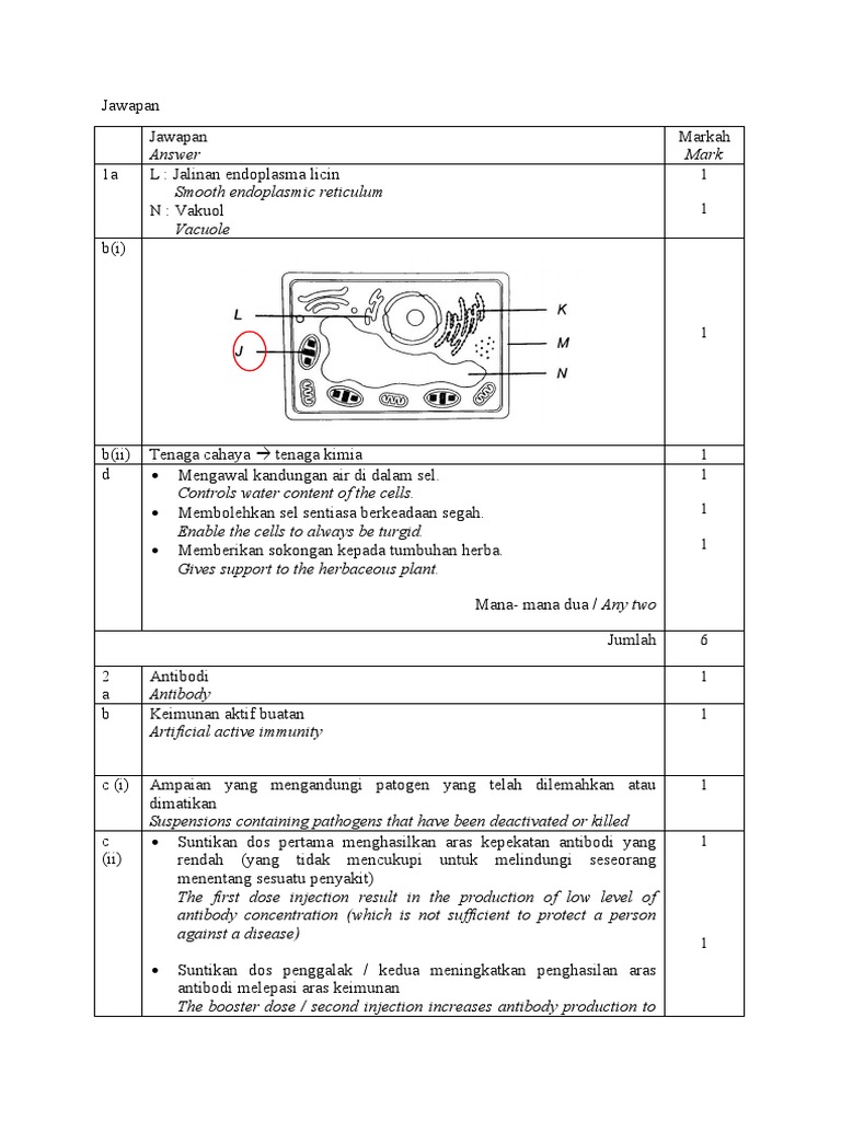 SKEMA KERTAS 2 PERCUBAAN SPM BIOLOGI 2021 Bahagian A | PDF