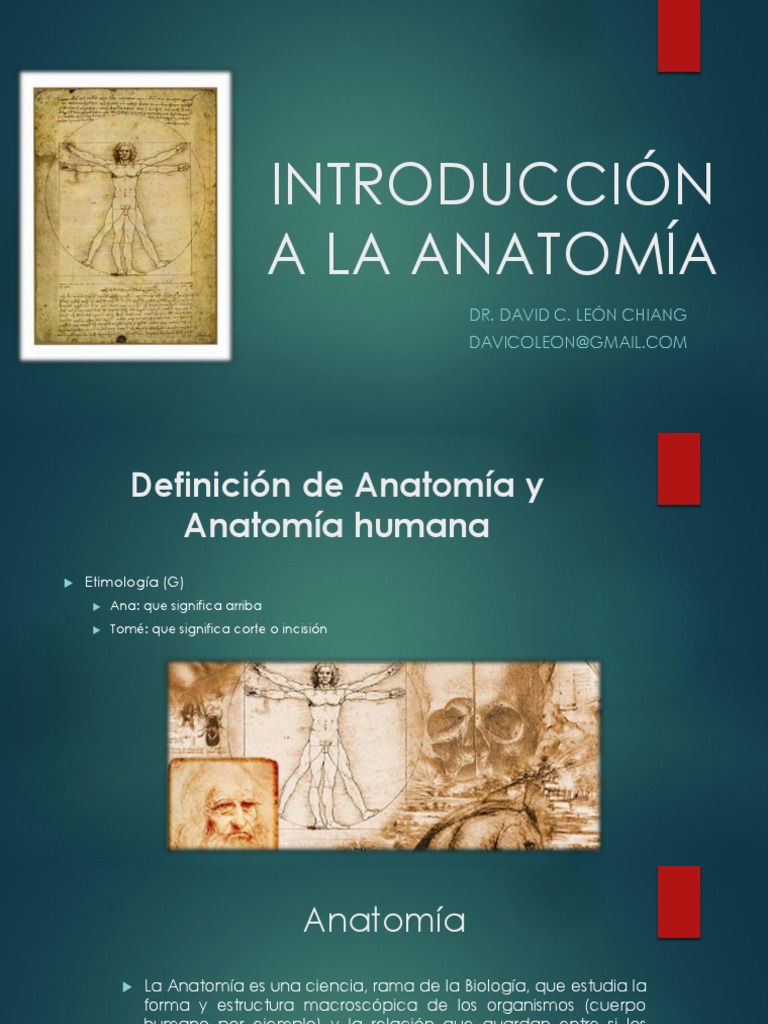 Anatomia 01 Introduccion A La Anatomia Pdf Anatomía Anatomía Humana
