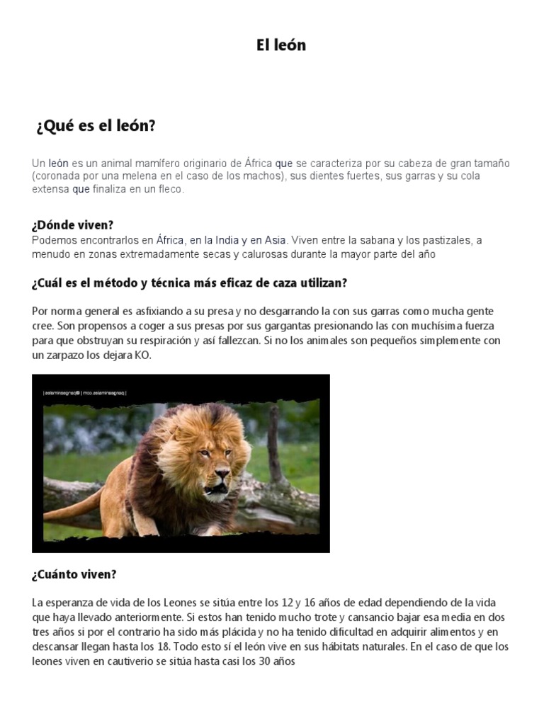 El león | PDF | León | Organismos
