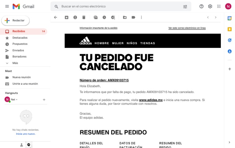 Elizabeth, Lo Sentimos, Tu Pedido AMX09103715 Fue Cancelado - Nty1468.a@Gmail - Com - Gmail | PDF