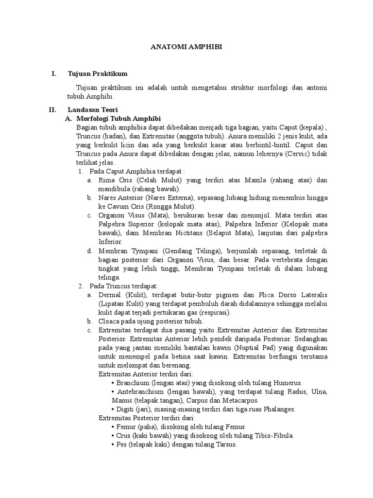 Anatomi Amphibi | PDF