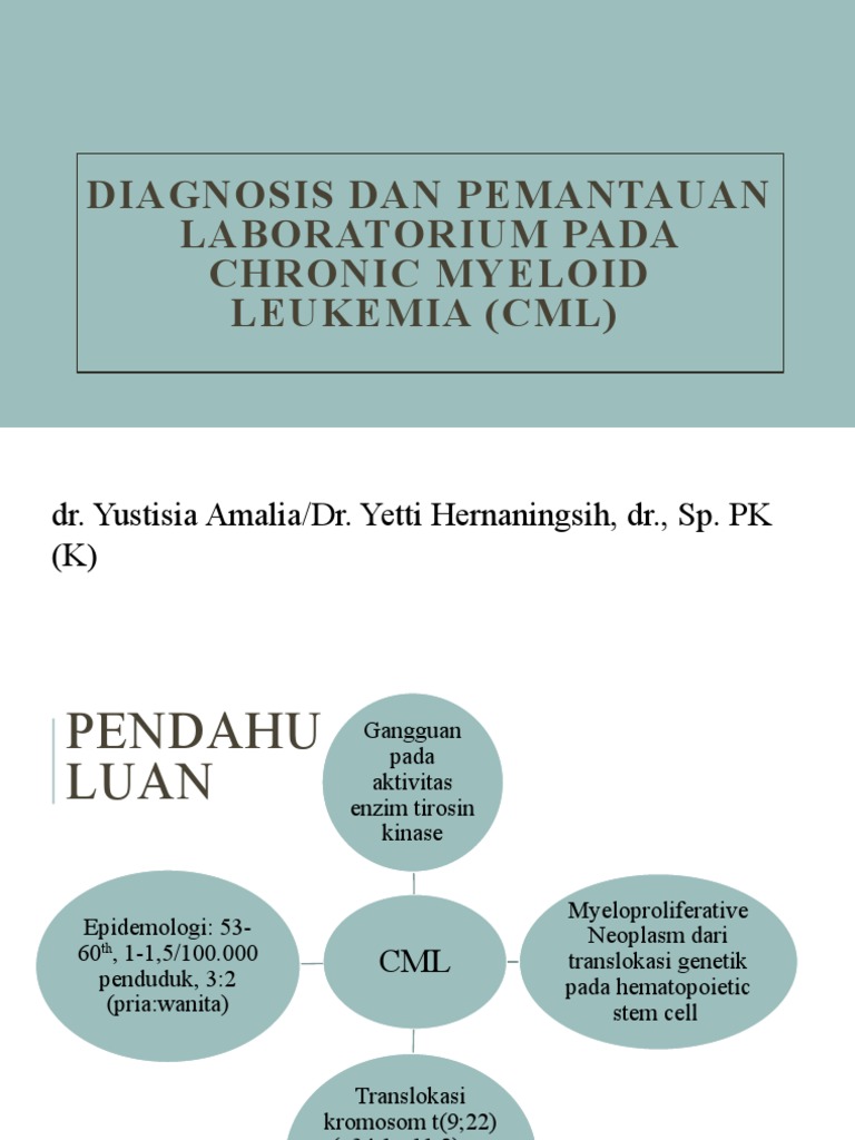 PPT CML | PDF