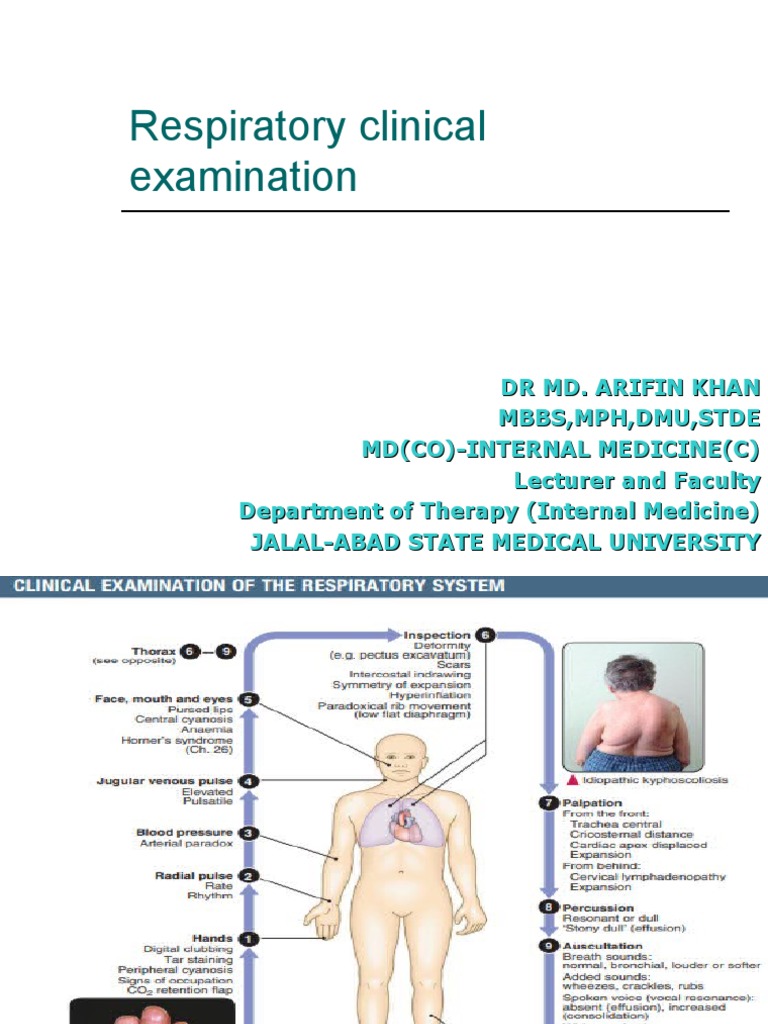 Chest Examination | PDF | Lung | Thorax