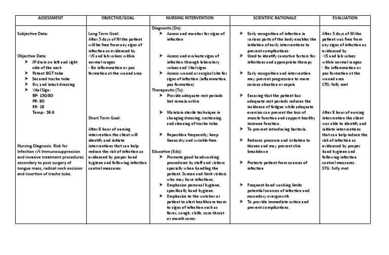 NCP, Ent, Risk For Infection | PDF | Infection | Hygiene