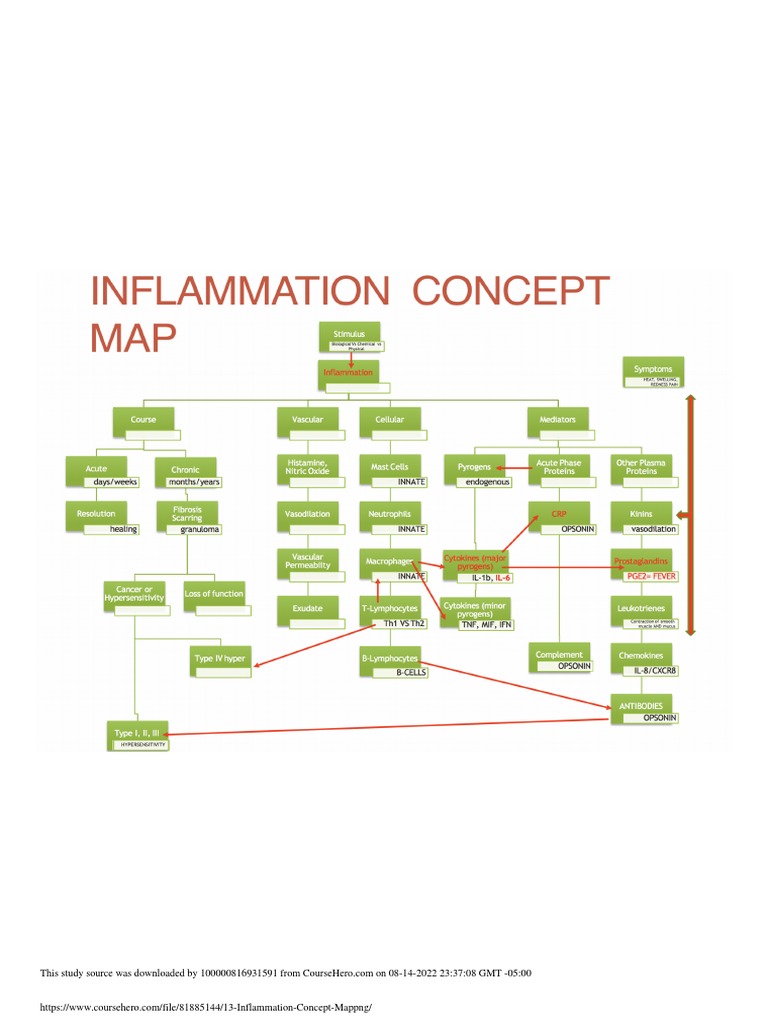 1.3 Inflammation Concept Map - PNG | PDF
