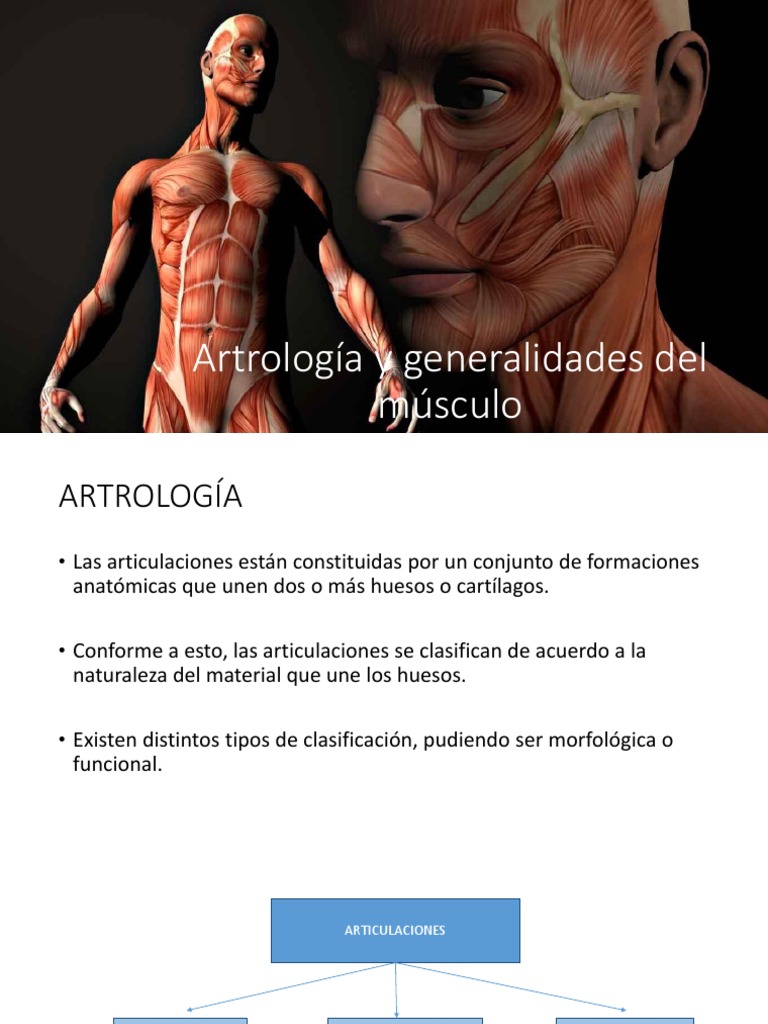 Artrología y Generalidades de Músculo | PDF | Cartílago | Articulación