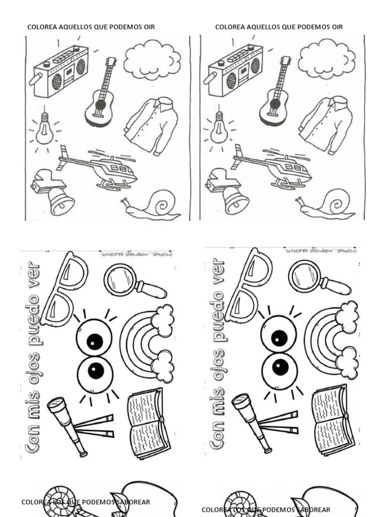 Los Sentidos para Colorear Niños | PDF