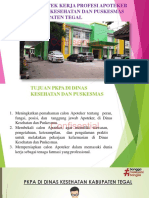Pelaporan E Report PBF Kementerian Kesehatan RI | PDF | Komputer