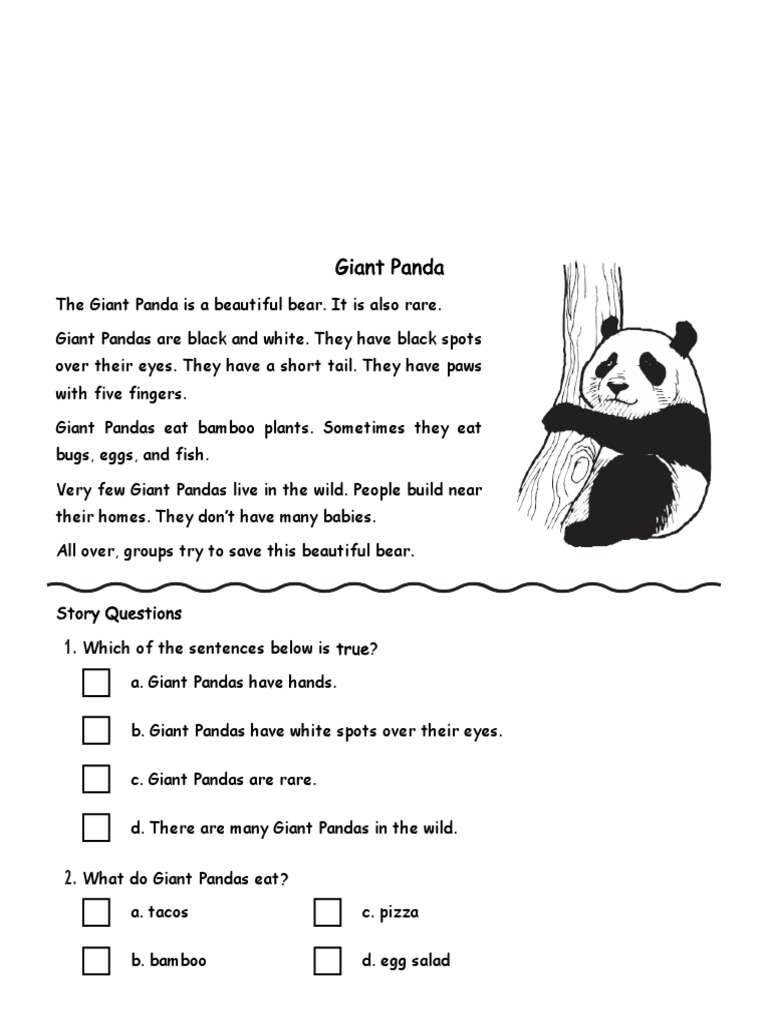 Giant Panda Facts and Conservation | PDF | Home & Garden