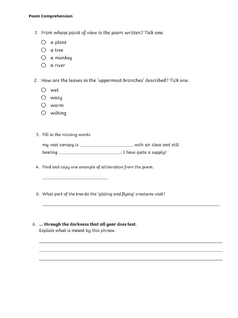 Poem Comprehension Exercises | PDF