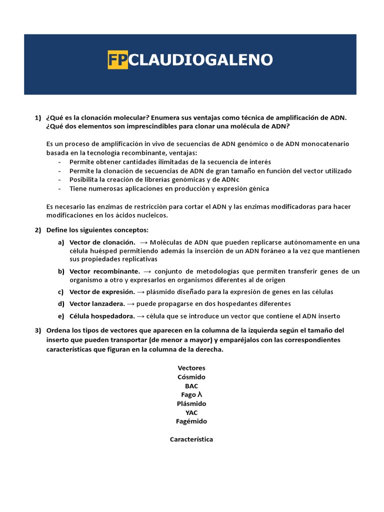 ACTPROC Clonación de AANN | PDF | Plásmido | Adn