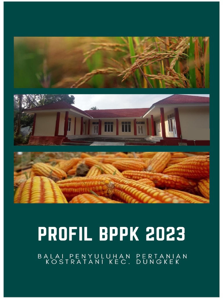Profil Bpp Pdf