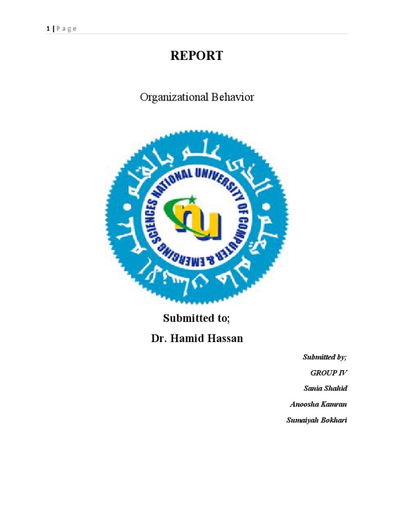 Ob Final Report | PDF | Self Efficacy | Goal