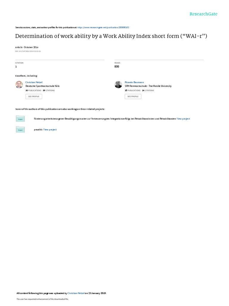 Hetzel2014 Workability ASUI | PDF