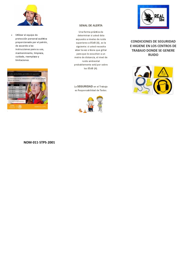 Triptico Nom 011 Stps 2001 | PDF