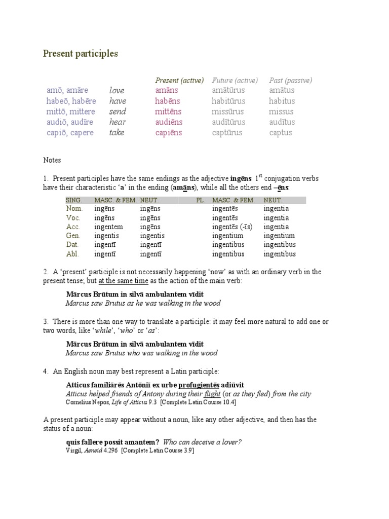 Latin Participles Grammar PDF | PDF | Verb | Grammar