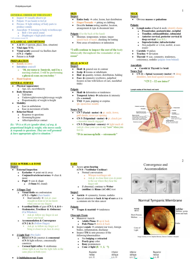 Head To Toe Assessment | PDF | Anatomical Terms Of Motion | Anatomy
