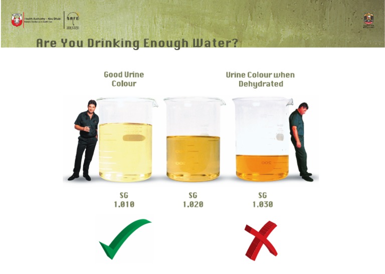 A4 Urine Colour Chart - English | PDF