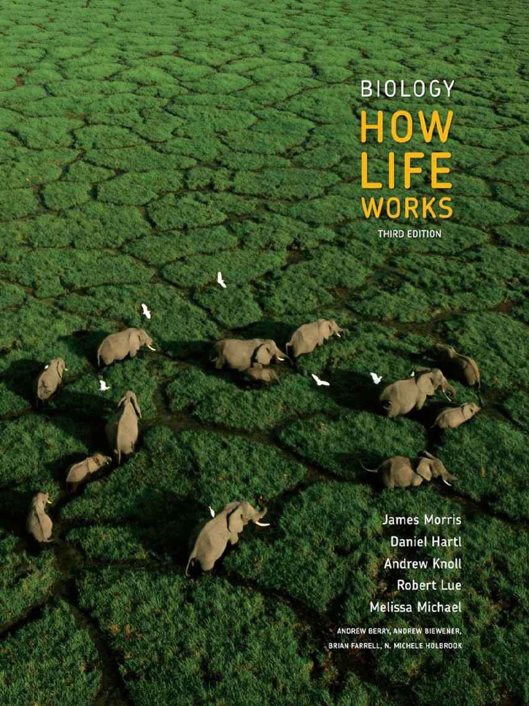 Biology How Life Works 3rd Edition by James Morris | Download Free PDF ...