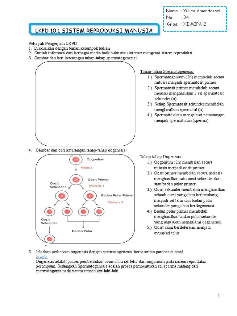 LKPD SISTEM REPRODUKSI | PDF