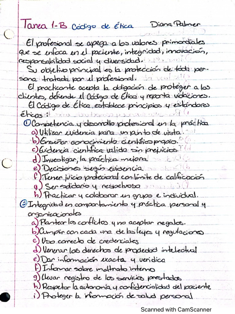 Tarea 1B - Código de Ética - Palmer | PDF