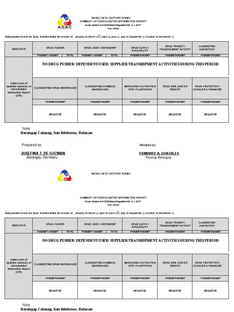 BADAC Consolidated Information Report | PDF | Illegal Drug Trade ...