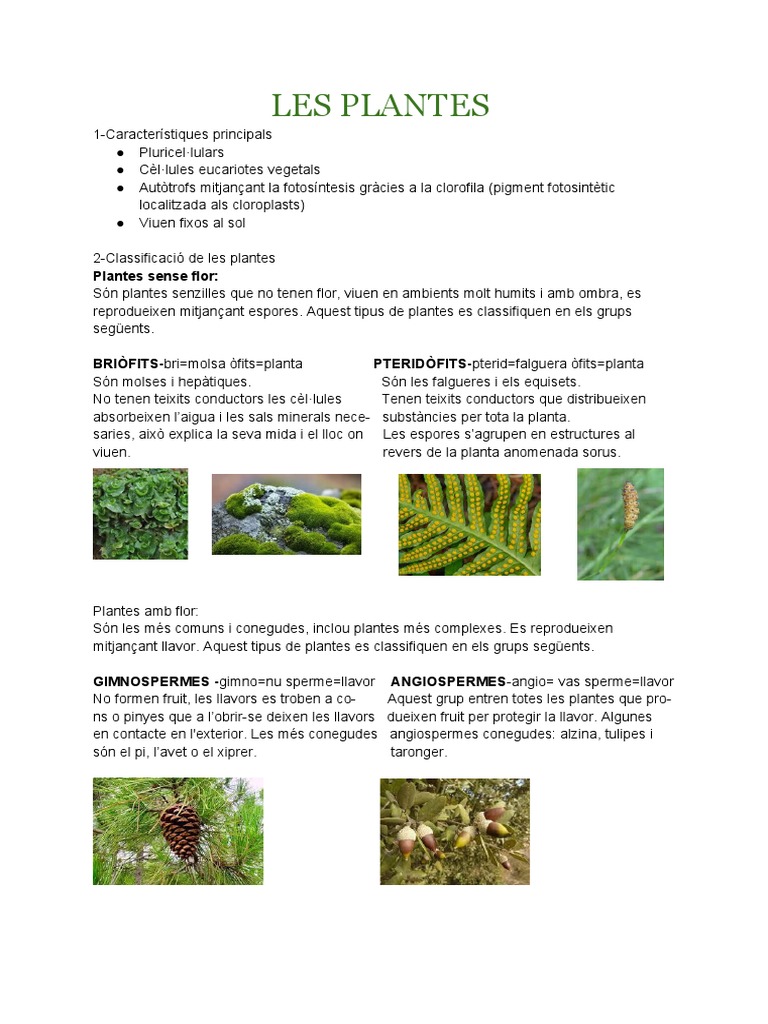 Les Plantes | PDF
