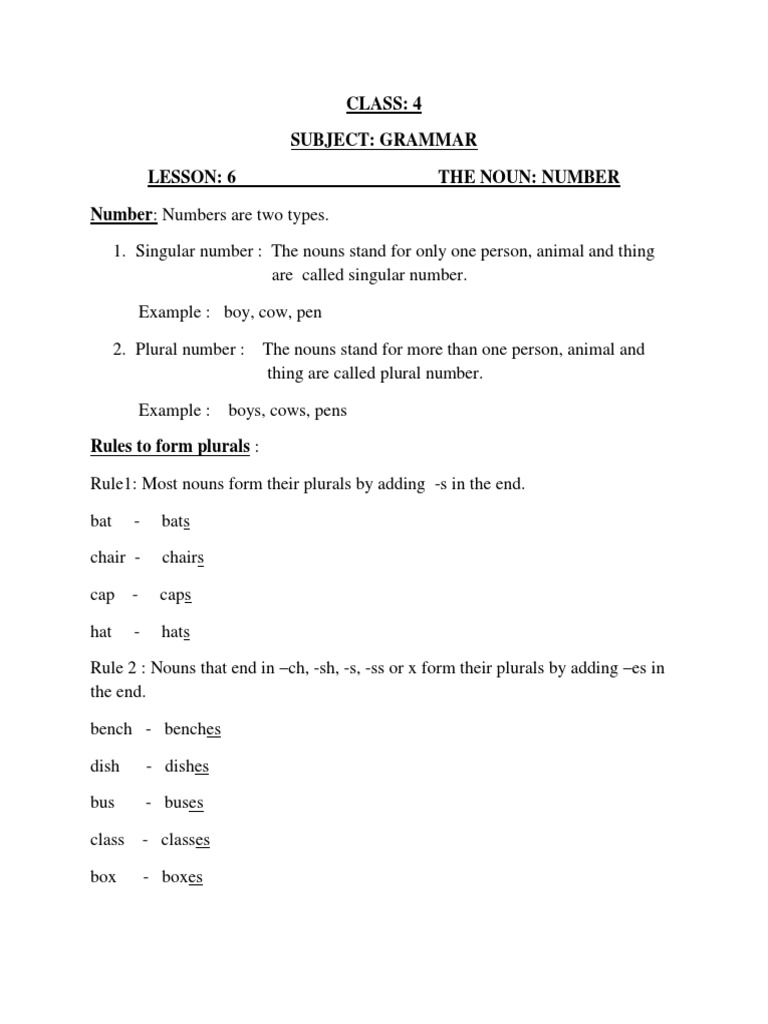Noun Number Rules for Class 4 | PDF | Plural | Grammatical Number