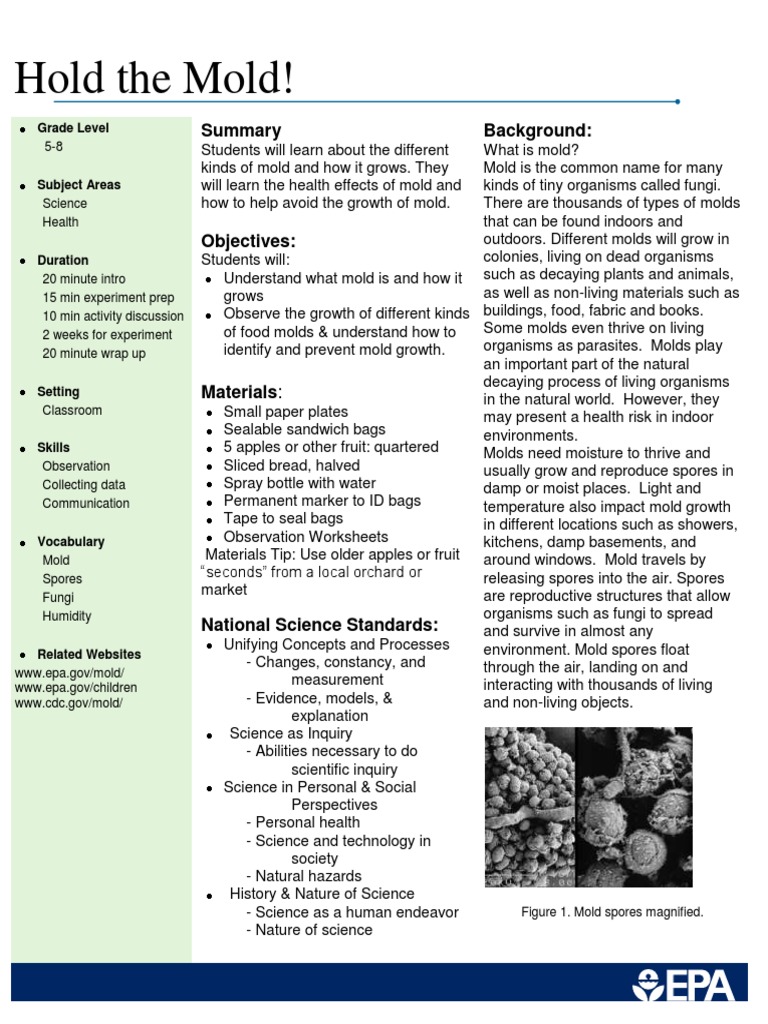 Hold Them Old | PDF | Mold | Science