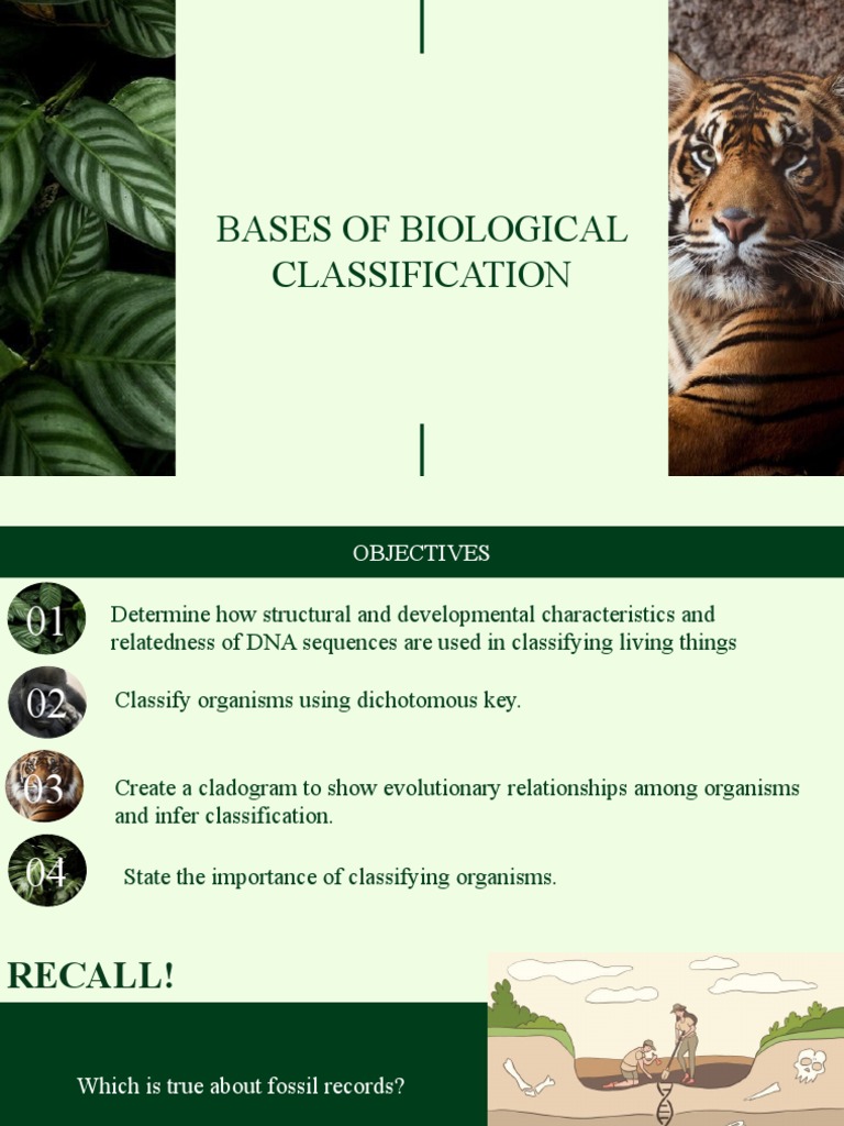 Bases of Biological Classification | PDF | Phylogenetics | Organisms