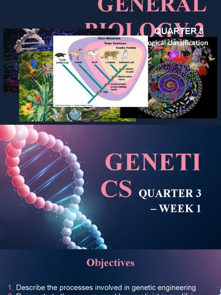 Genetics | PDF | Science & Mathematics