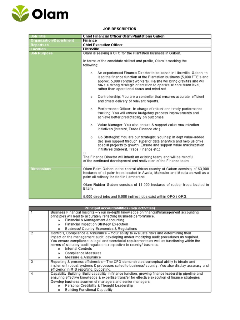Olam Gabon Job Description CFO - 120423 | PDF | Management Accounting | Audit