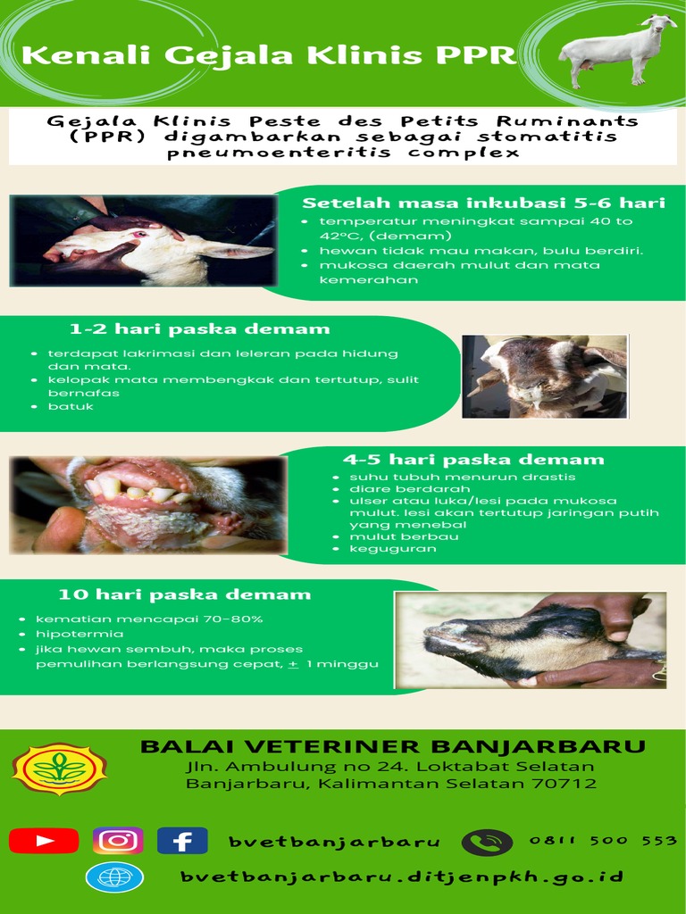 PPR Leaflet - 1 | PDF