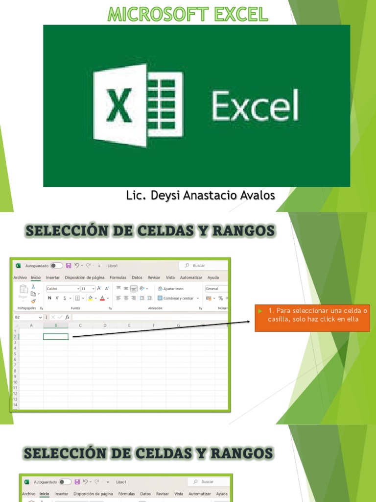 Selección y Edición en Excel | PDF | Hoja de cálculo | Ingeniería de ...