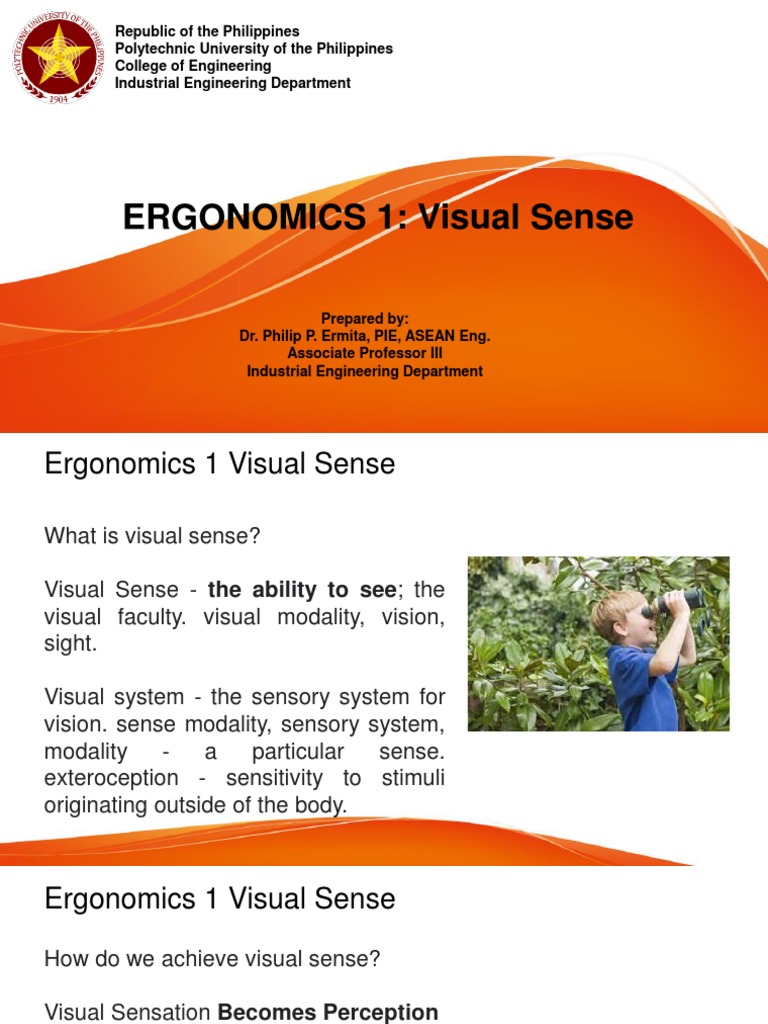 Visual Ergonomics in the Workplace | PDF | Science & Mathematics ...