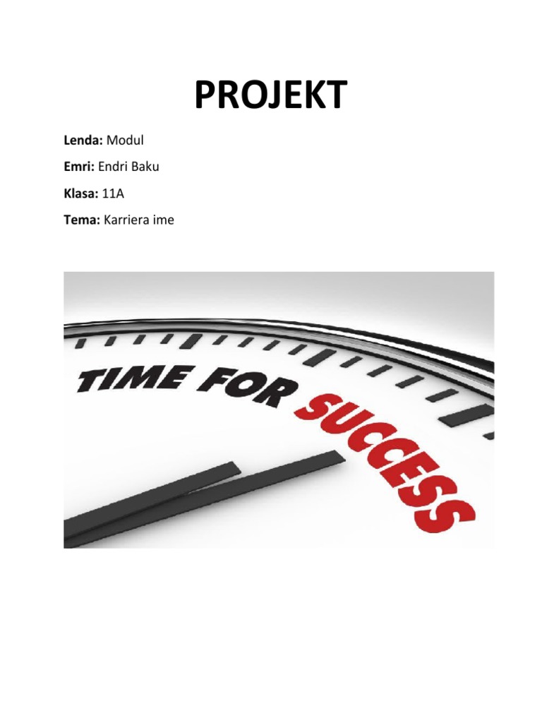PROJEKT | PDF