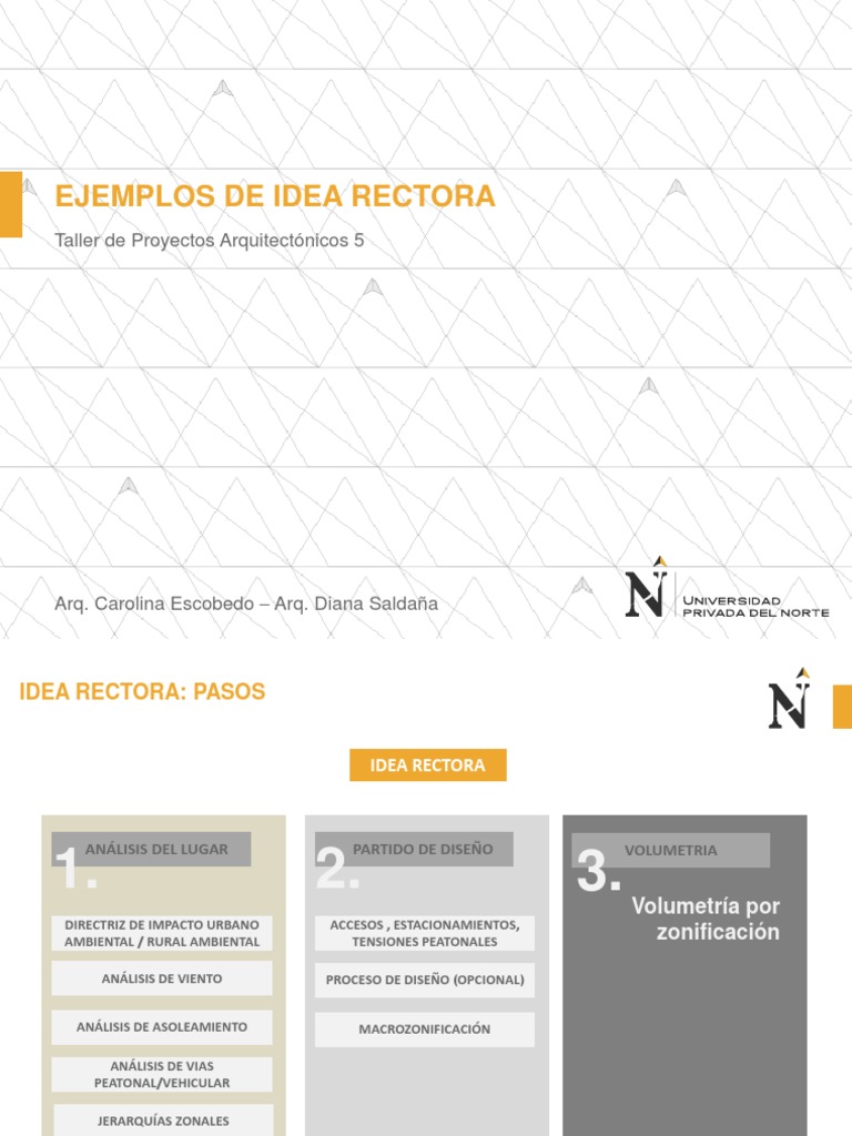 Idea Rectora Ejemplos | PDF