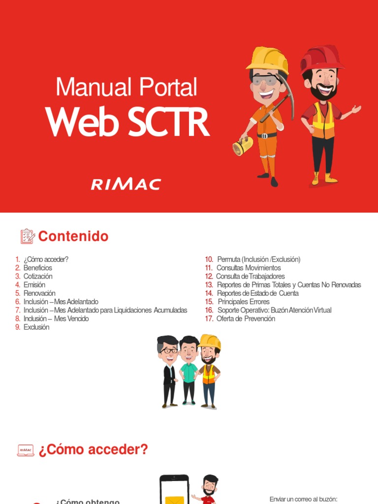 Manual Portal Web SCTR | PDF | Microsoft Excel | Red mundial