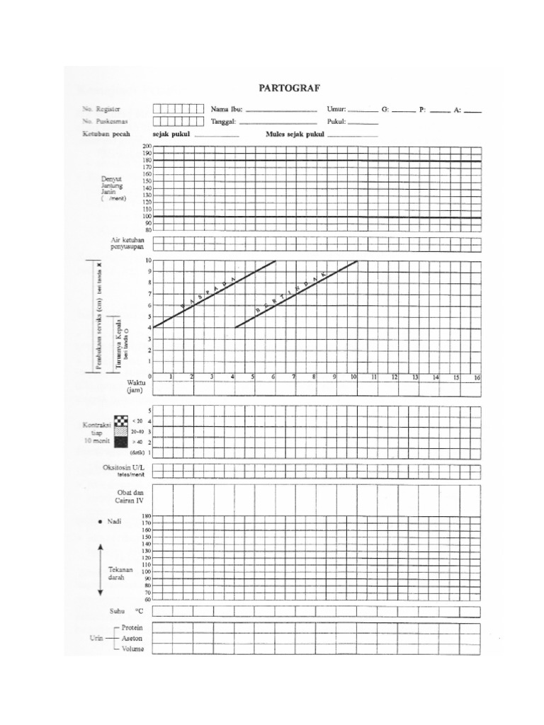 Format Partograf | PDF