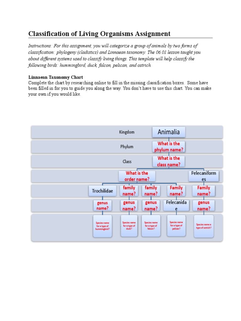 06 01 Classification Assignment Template | PDF | Taxonomy (Biology ...