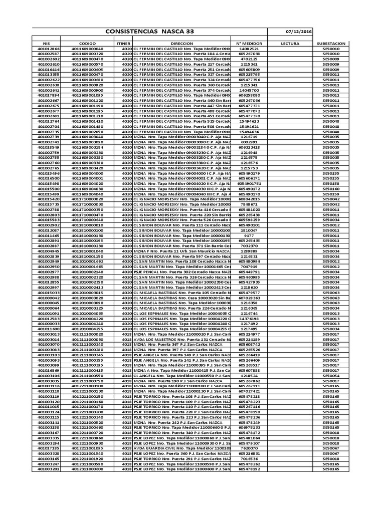Lecturas de Medidores en Nazca | PDF