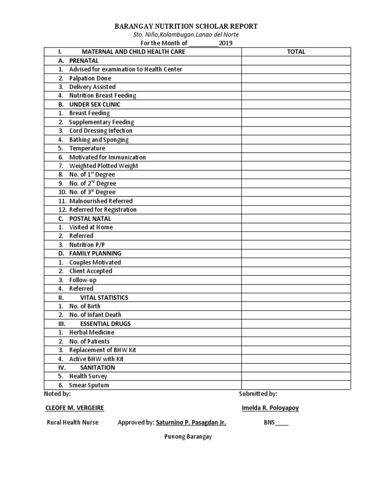 BNS Monthly Report | PDF