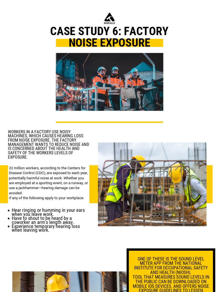 Case Study 6 Factory Noise Exposure | PDF