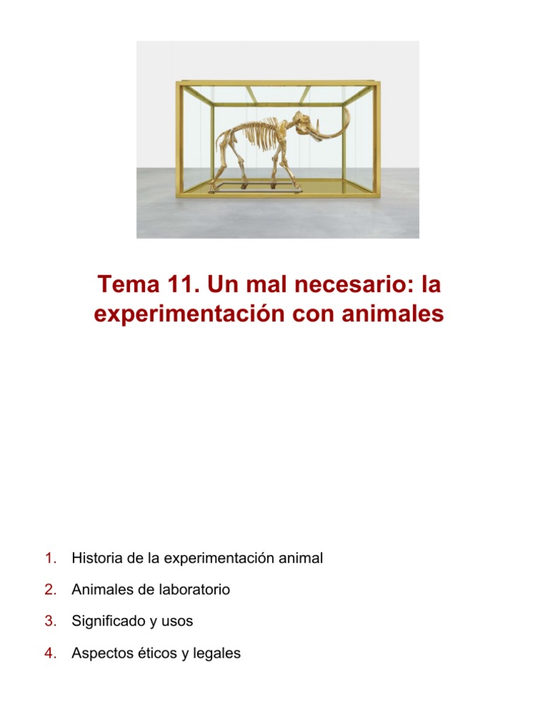 Experimentación Animal: Historia y Ética | PDF | Pruebas en animales ...