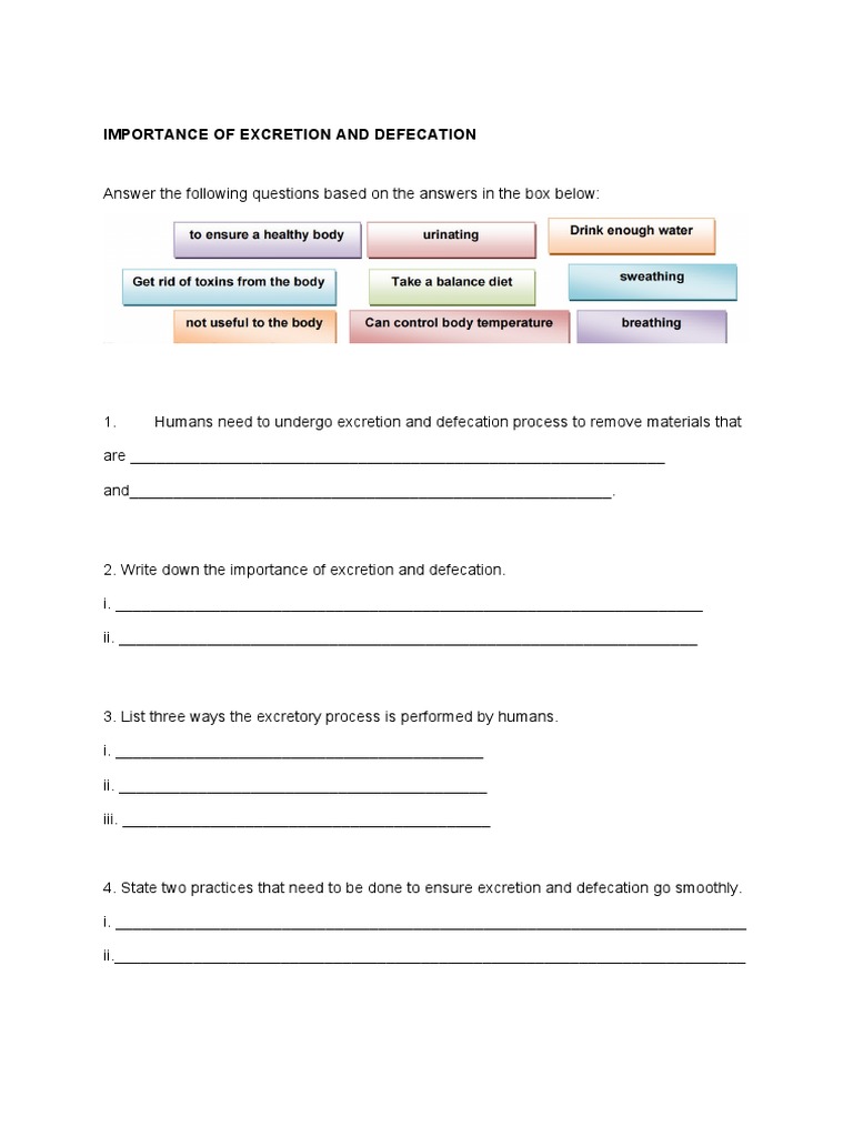 Importance of Excretion and Defecation | PDF
