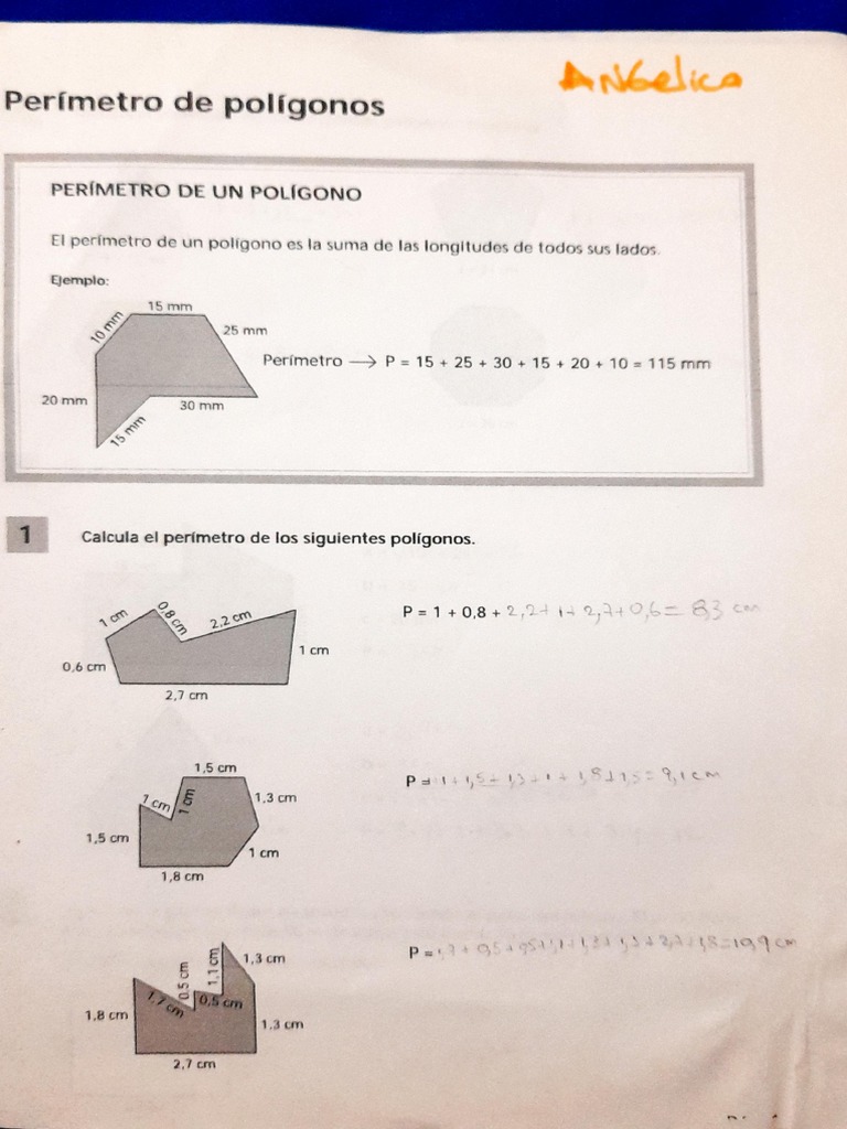 Perímetros de Poligonos | PDF