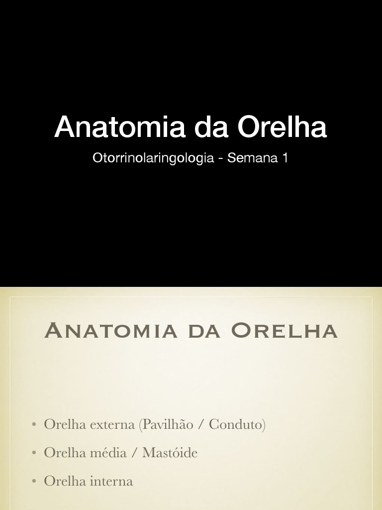 Anatomia da Orelha: Estruturas e Funções | PDF | Ciências e Matemática